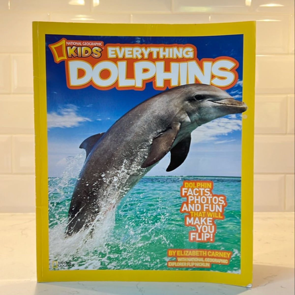National Geographic Kids Everything Dolphins by Elizabeth Carney