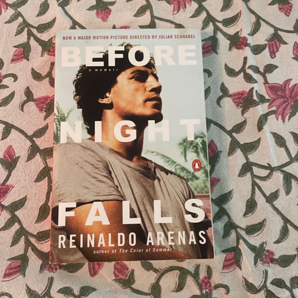 Before Night Falls by Reinaldo Arenas, Dolores M. Koch