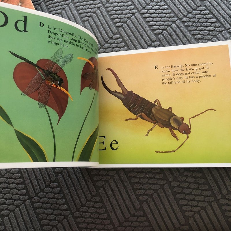 The Icky Bug Alphabet Book by Jerry Pallotta