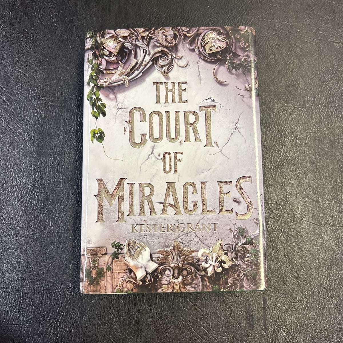 The Court of Miracles by Kester Grant