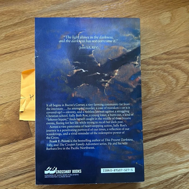 Piercing the Darkness by Frank E. Peretti, Paperback | Pangobooks