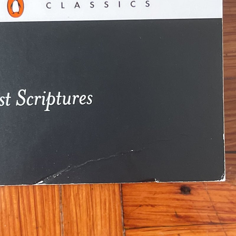 Buddhist Scriptures by Donald S. Lopez, Paperback | Pangobooks