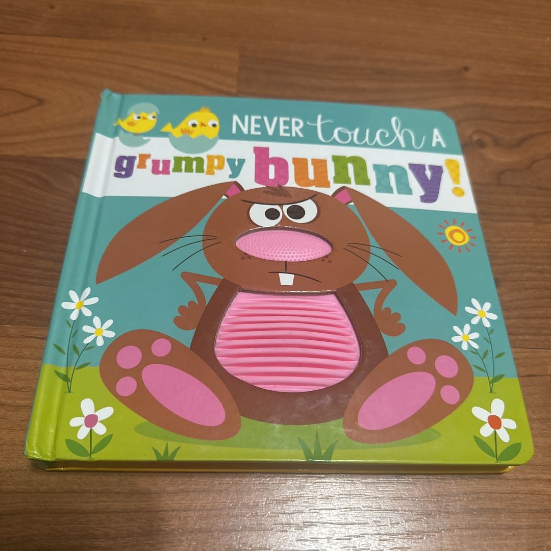 Never Touch a Grumpy Bunny! by Rosie Greening