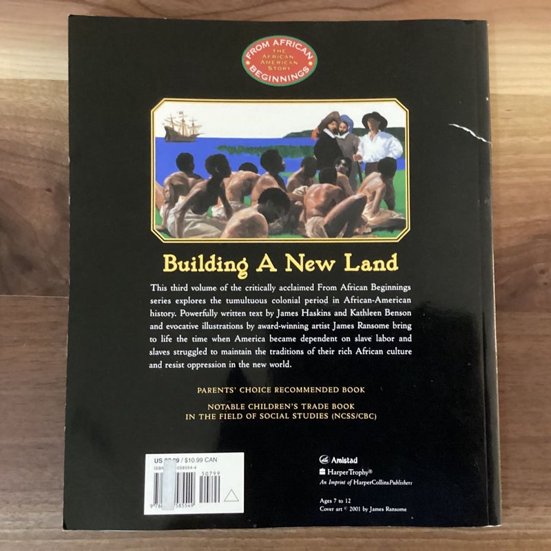 Building a New Land by James Haskins, Paperback | Pangobooks