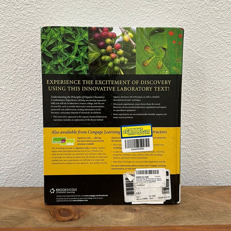 Understanding the Principles of Organic Chemistry by Steven F. Pedersen ...
