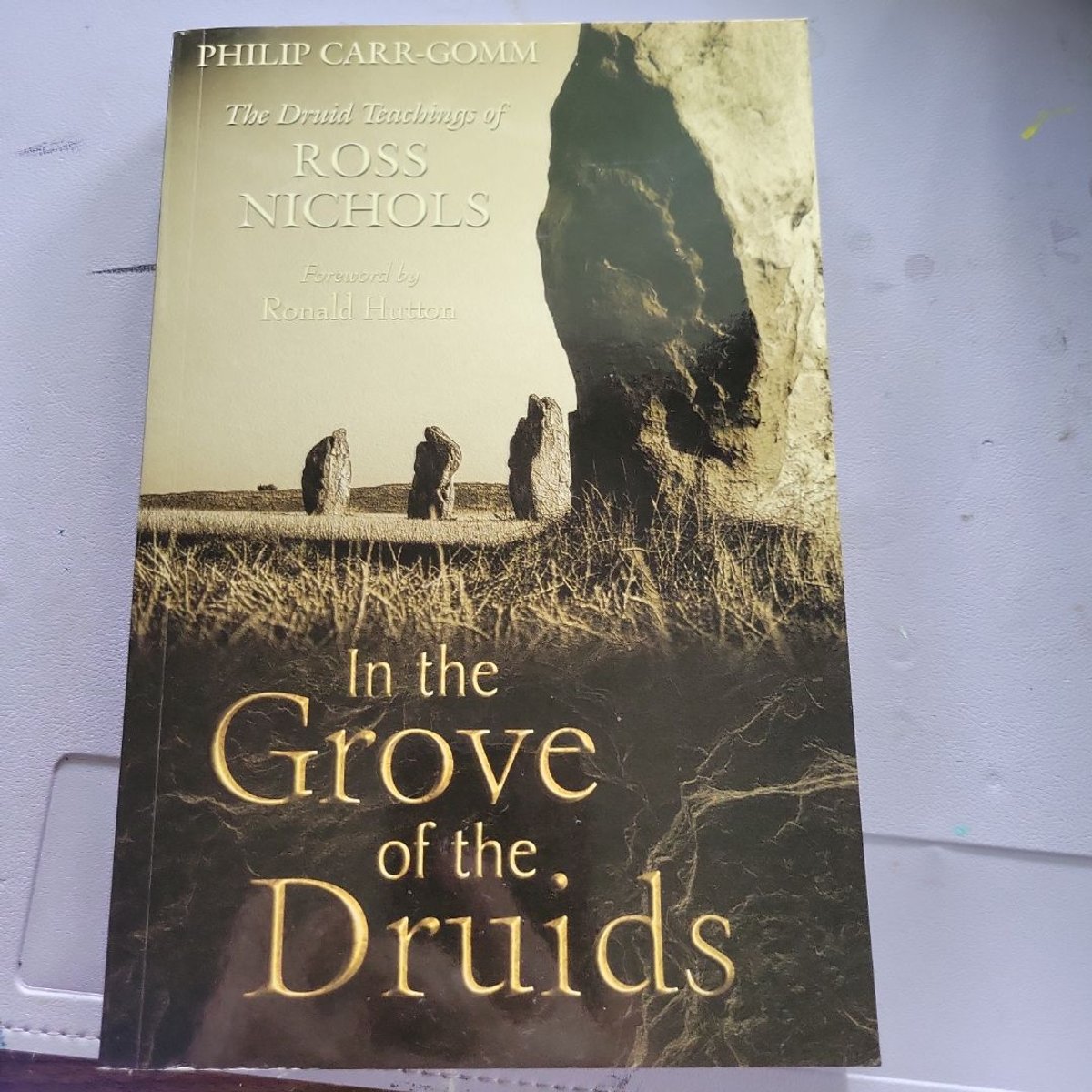 In the Grove of the Druids by Philip Carr-Gomm, Ronald Hutton