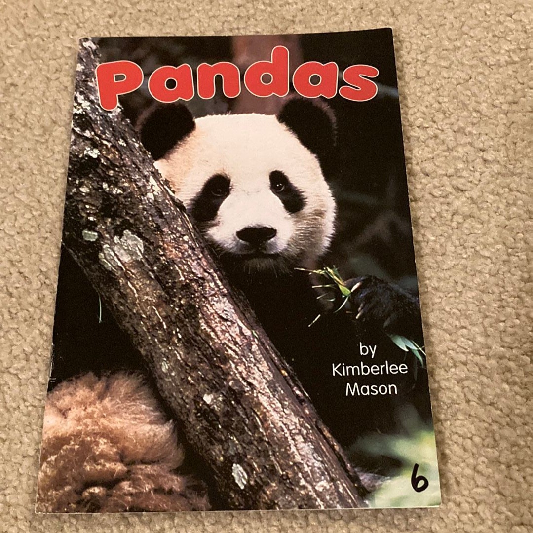 Pandas by Kimberlee Mason
