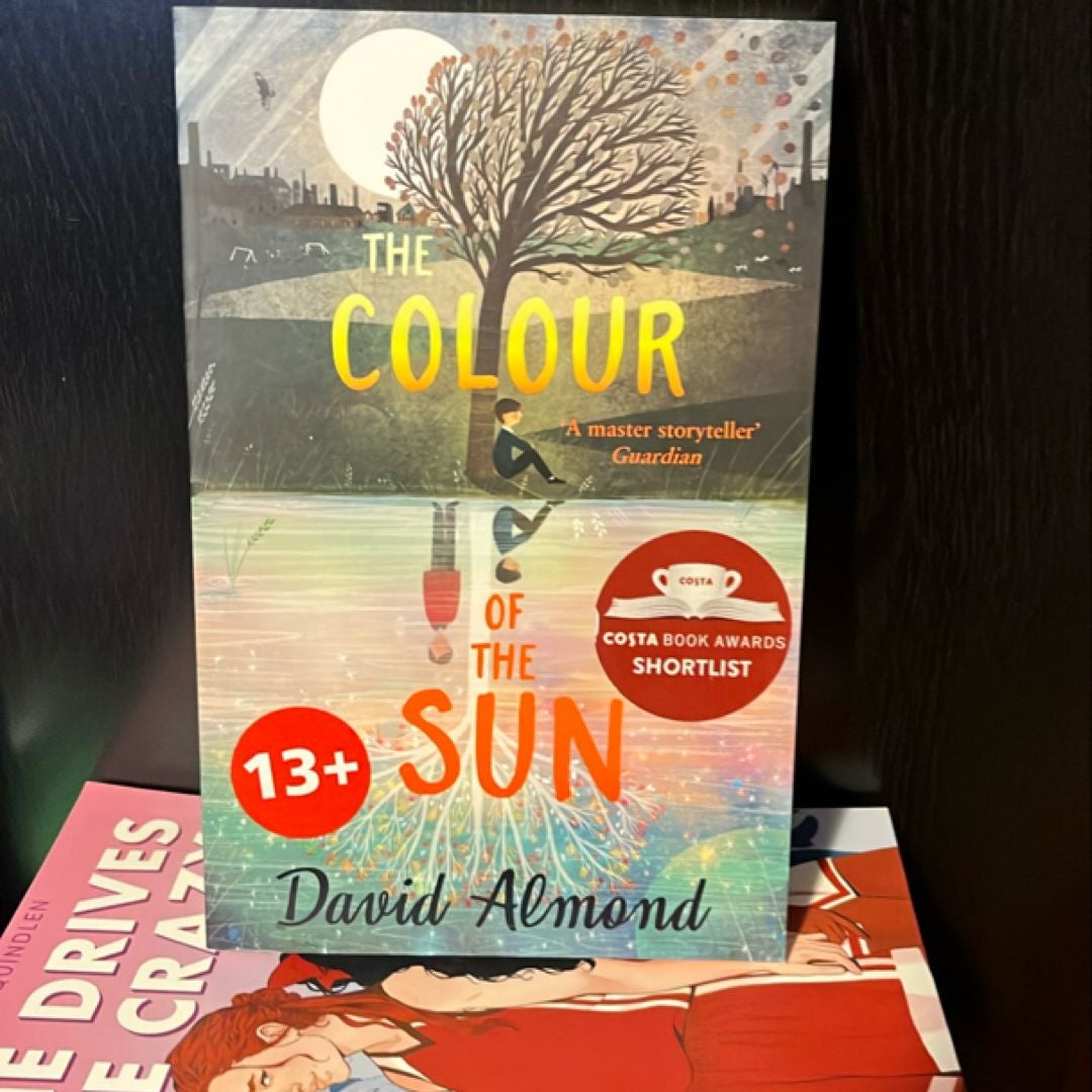 The Colour of the Sun by David Almond