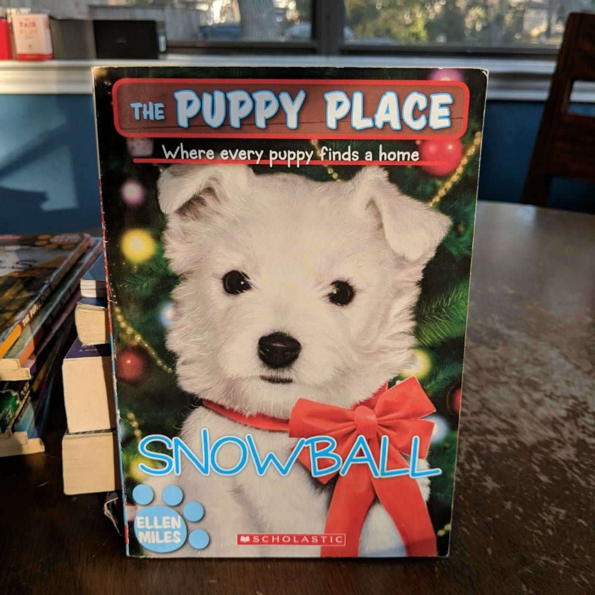 Snowball by Ellen Miles
