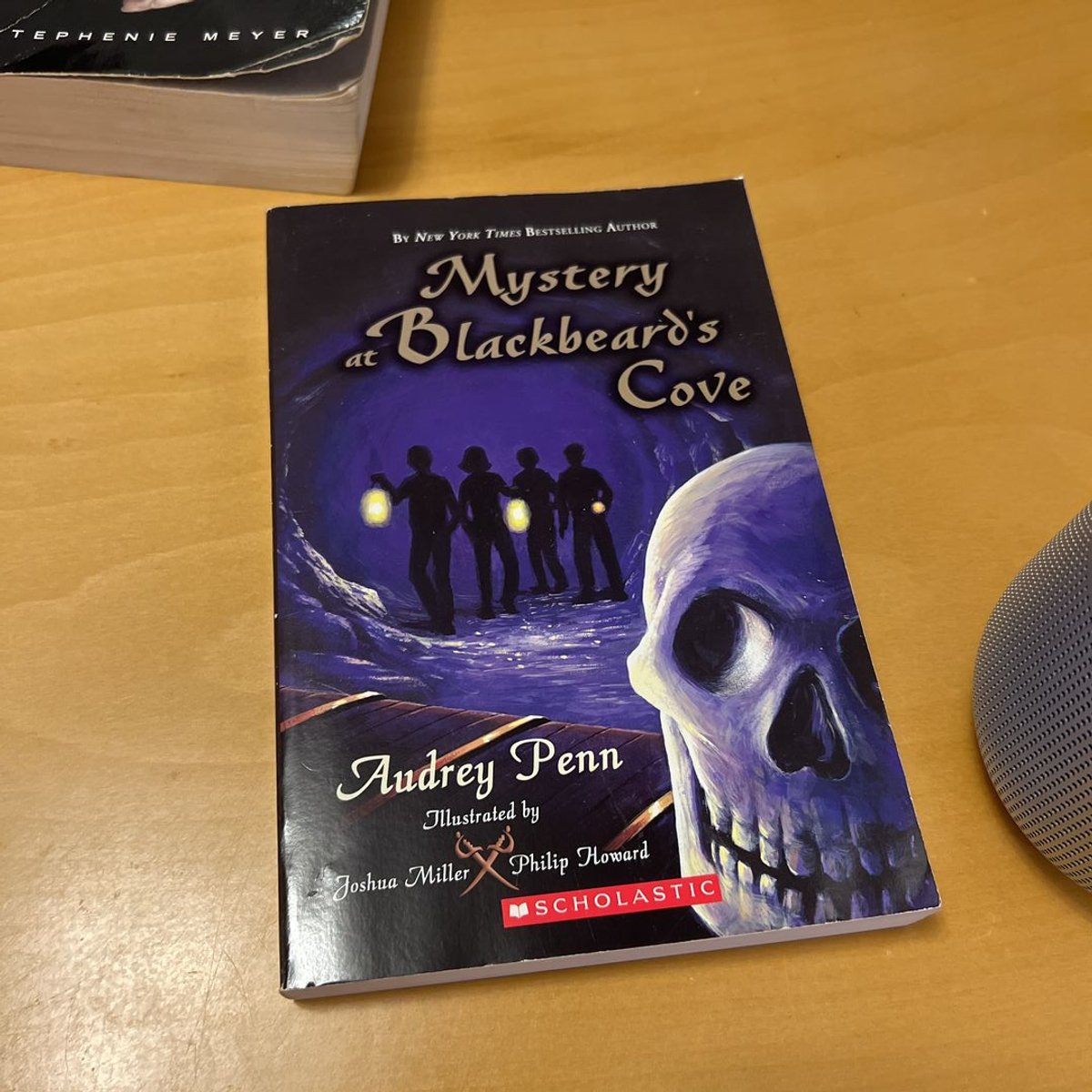 Mystery at Blackbeard's Cove by Audrey Penn