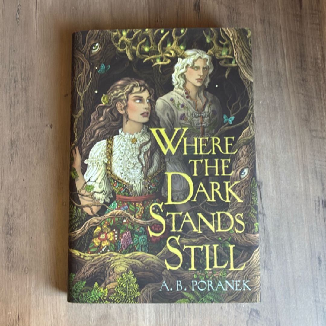 Where the Dark Stands Still by A. B. Poranek