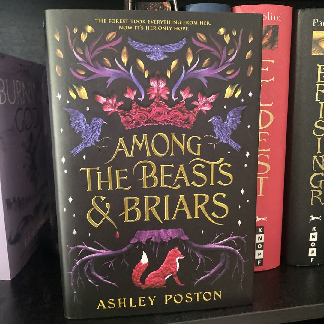 Among the Beasts & Briars by Ashley Poston, Hardcover | Pangobooks