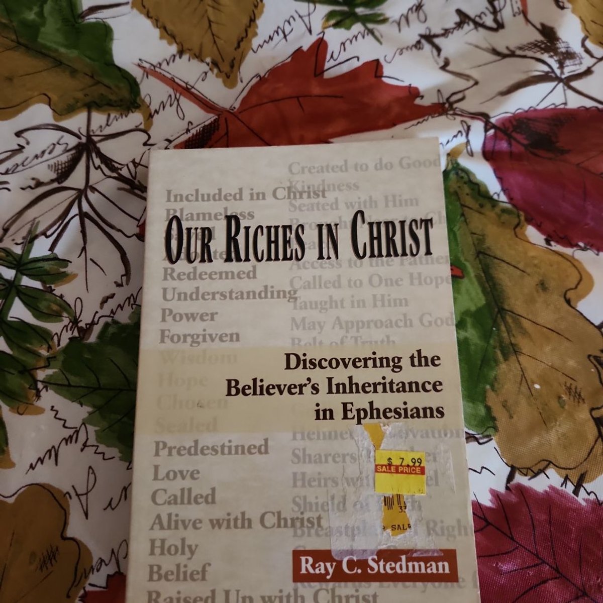 Our Riches in Christ by Ray C. Stedman