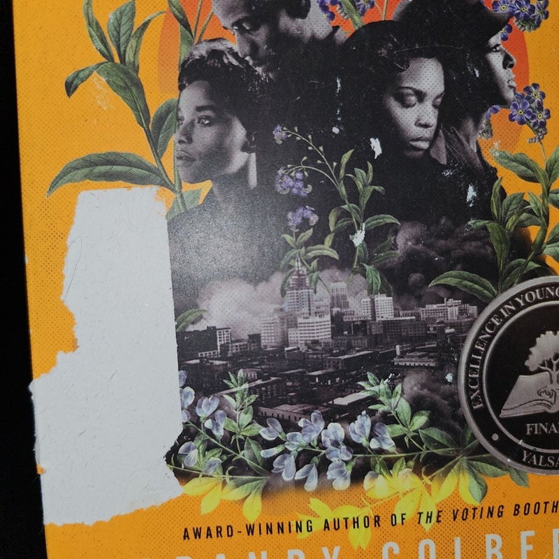 Black Birds in the Sky by Brandy Colbert