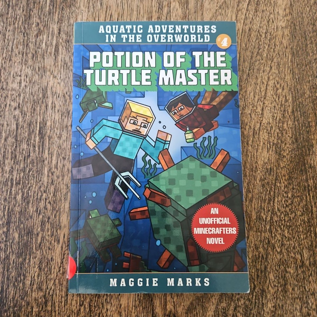 Potion of the Turtle Master by Maggie Marks