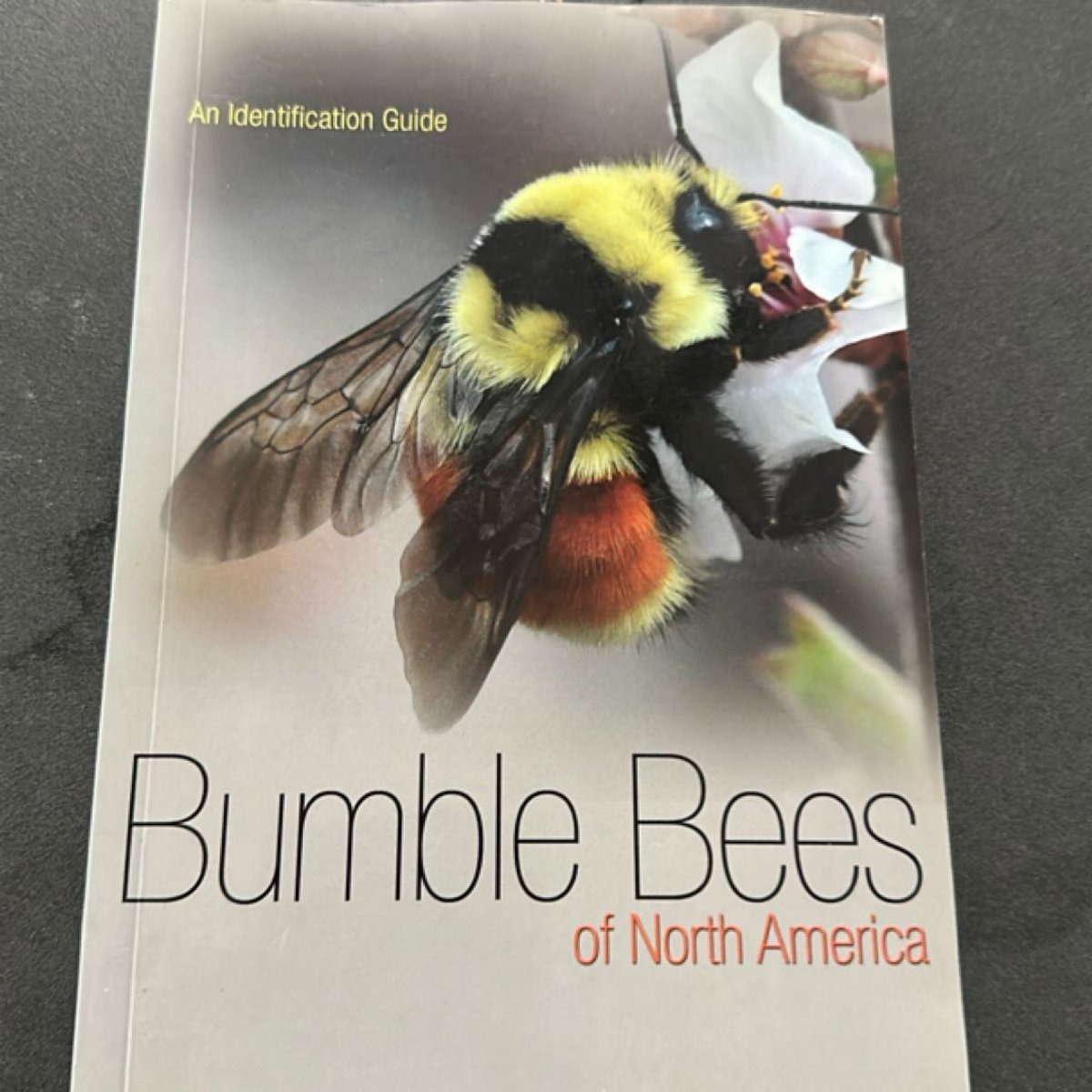 Bumble Bees of North America by Paul H. Williams, Robbin W. Thorp, Leif ...