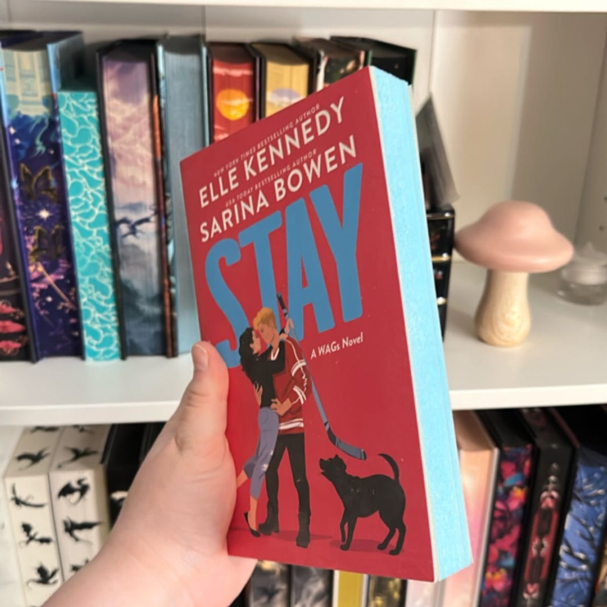 Stay by Sarina Bowen, Elle Kennedy