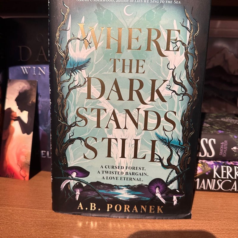 Where the dark stands still by A.B. Poranek , Hardcover | Pangobooks