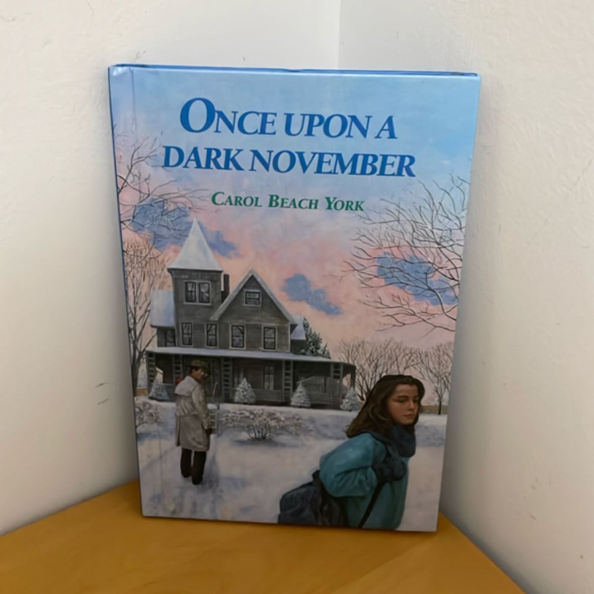 Once upon a Dark November by Carol Beach York