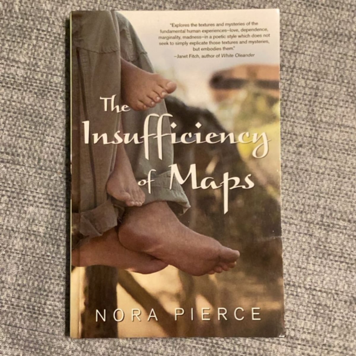 The Insufficiency of Maps by Nora Pierce