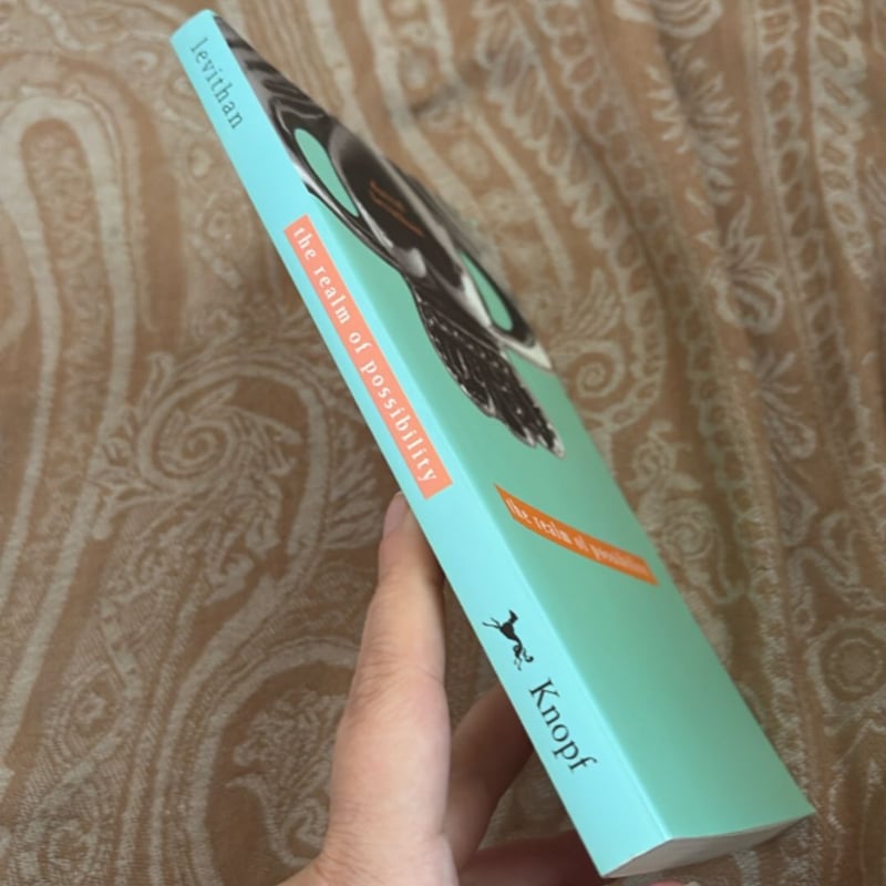 The Realm of Possibility by David Levithan