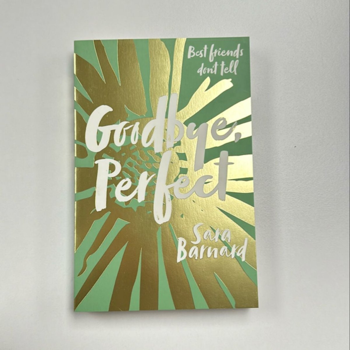 Goodbye, Perfect by Sara Barnard