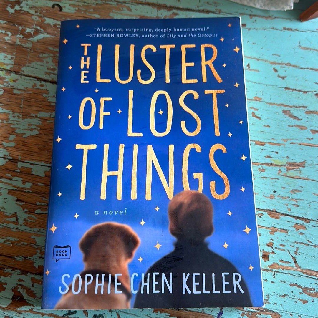 The Luster of Lost Things by Sophie Chen Keller