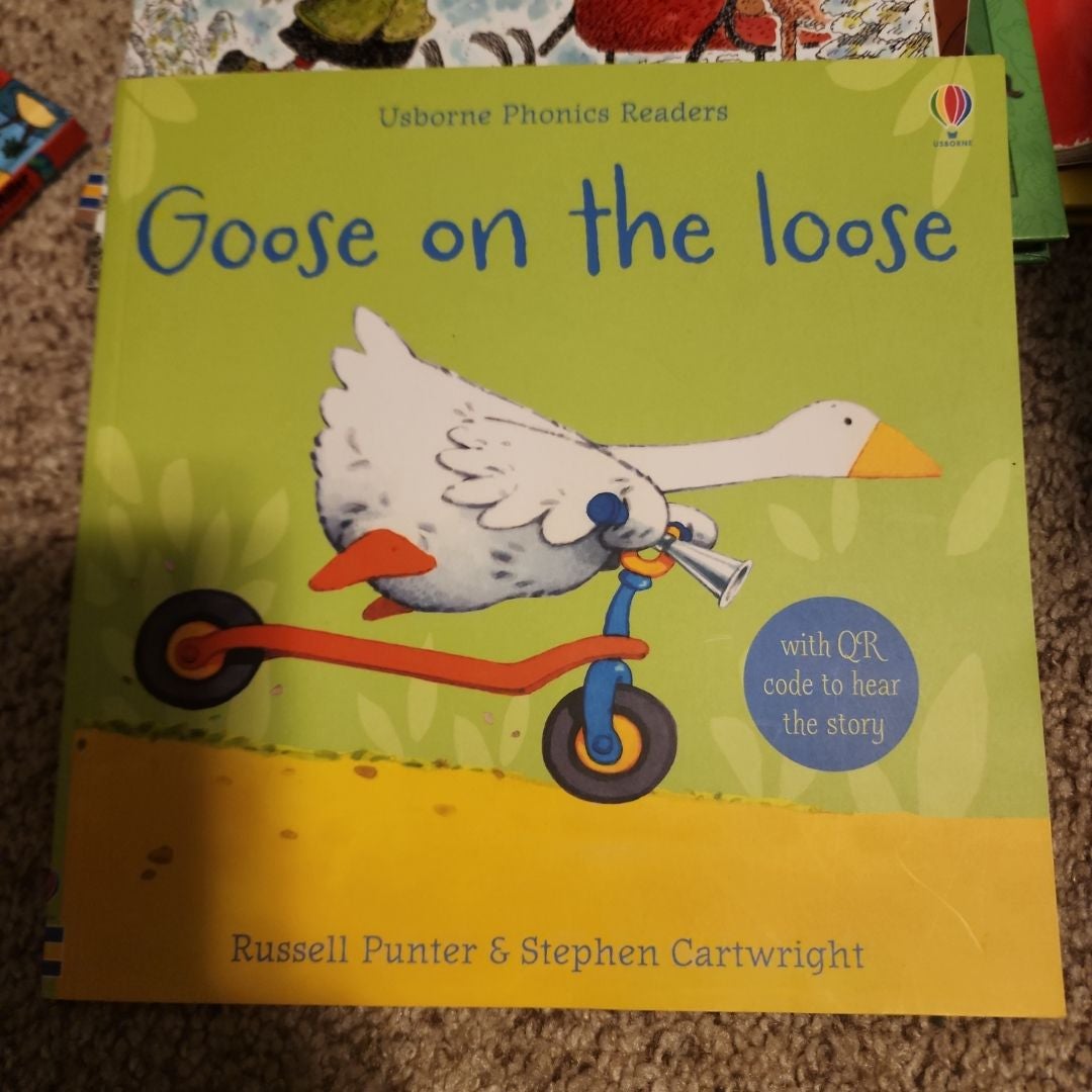 Goose on the Loose by Russell Punter, Paperback | Pangobooks