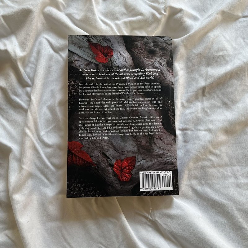 A Shadow in the Ember by Jennifer L. Armentrout, Paperback | Pangobooks