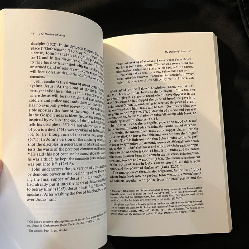 The Passion of Jesus in the Gospel of John by Donald Senior