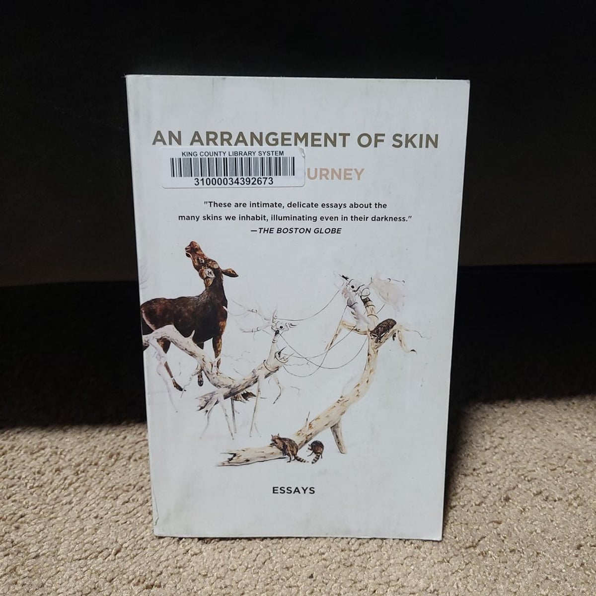 An Arrangement of Skin by Anna Journey