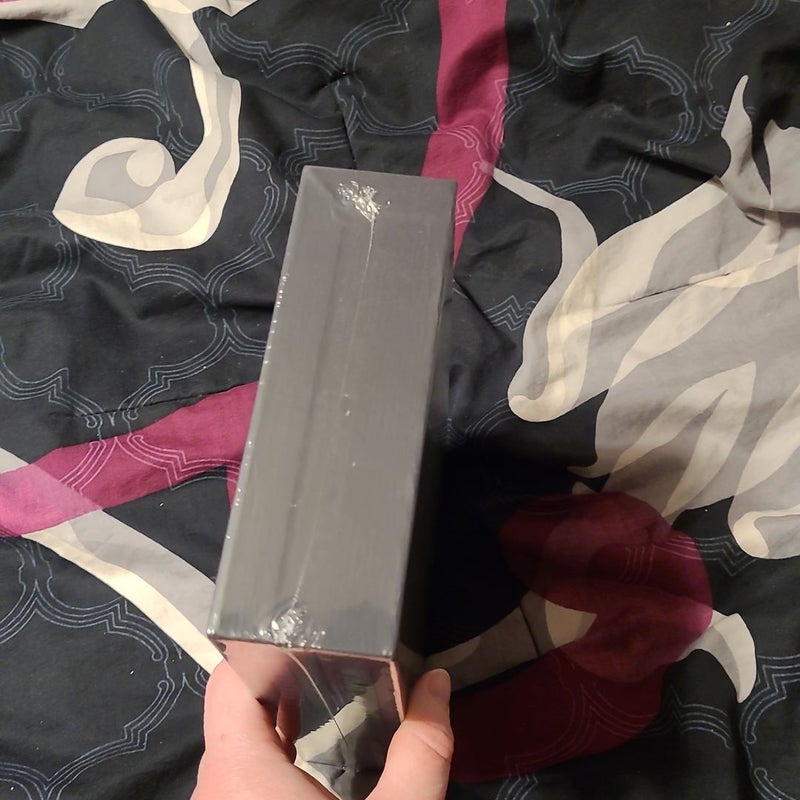 Eternal Embers Bad Reputation Duet by Krista & Becca Ritchie *Brand New ...