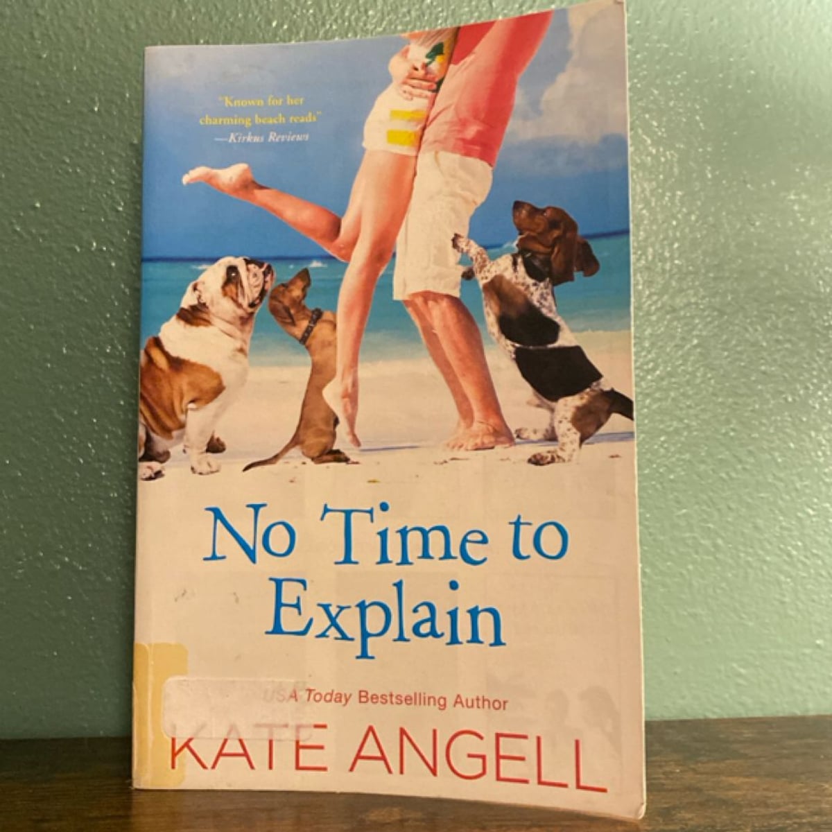 No Time to Explain by K. Angell