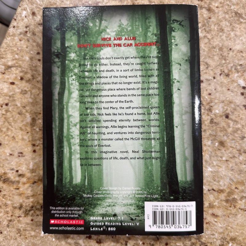Everlost by Neal Shusterman , Paperback | Pangobooks