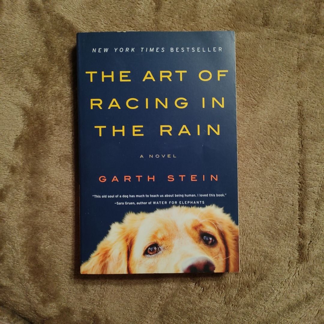 The Art of Racing in the Rain by Garth Stein