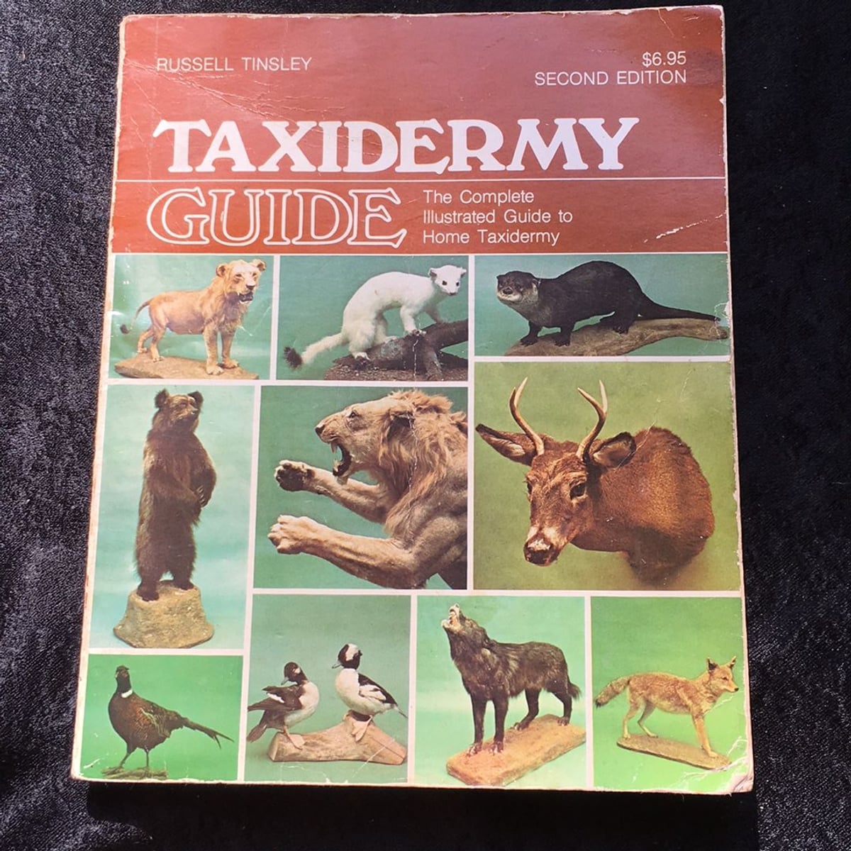 Taxidermy Guide by Russell Tinsley
