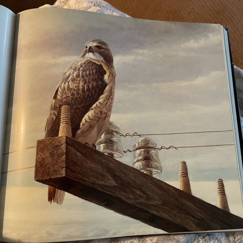 Robert Bateman by Rick Archbold, Hardcover | Pangobooks