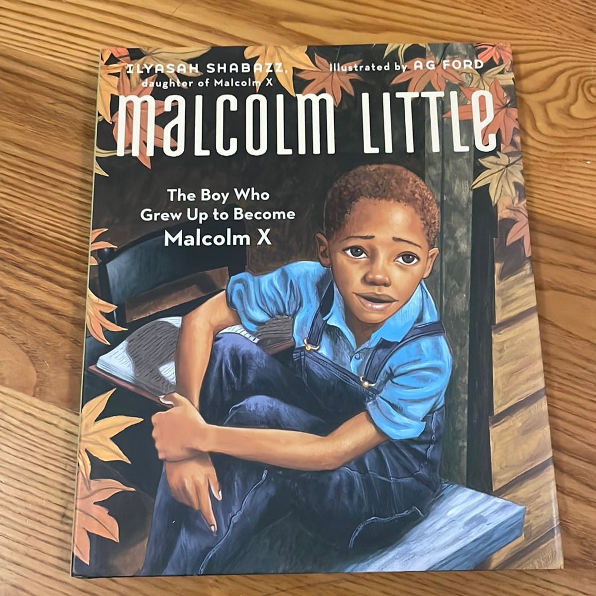 Malcolm Little by Ilyasah Shabazz