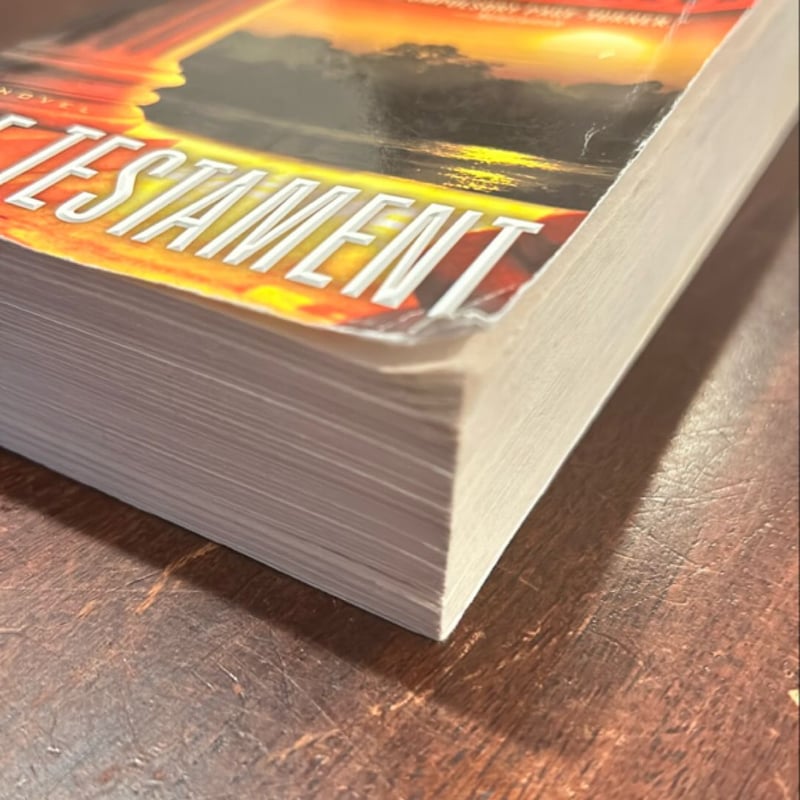 The Testament by John Grisham, Paperback | Pangobooks