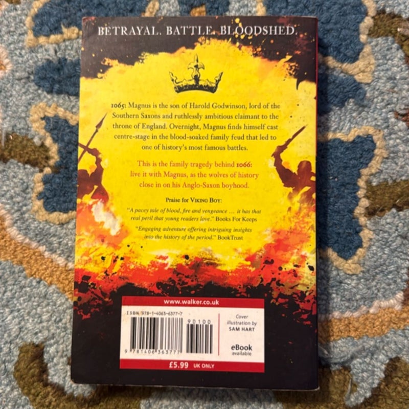 Anglo-Saxon Boy by Tony Bradman, Pierre-Denise Goux