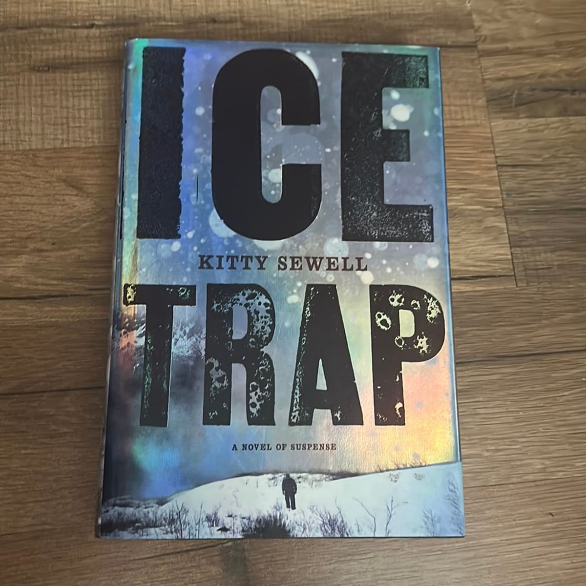 Ice Trap by Kitty Sewell