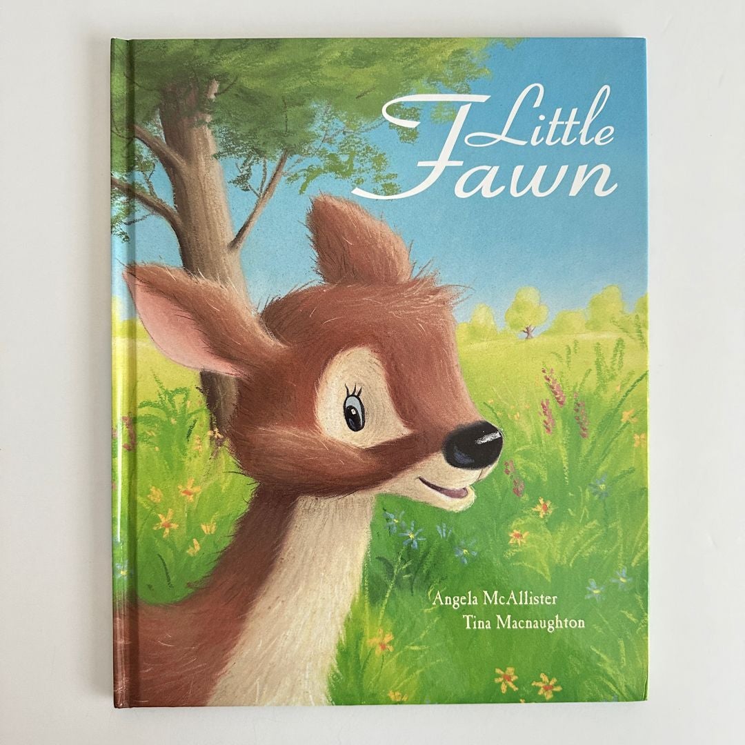 Little Fawn by Angela McAllister, Hardcover | Pangobooks
