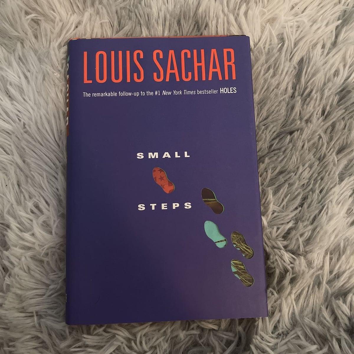 Small Steps by Louis Sachar, Hardcover | Pangobooks