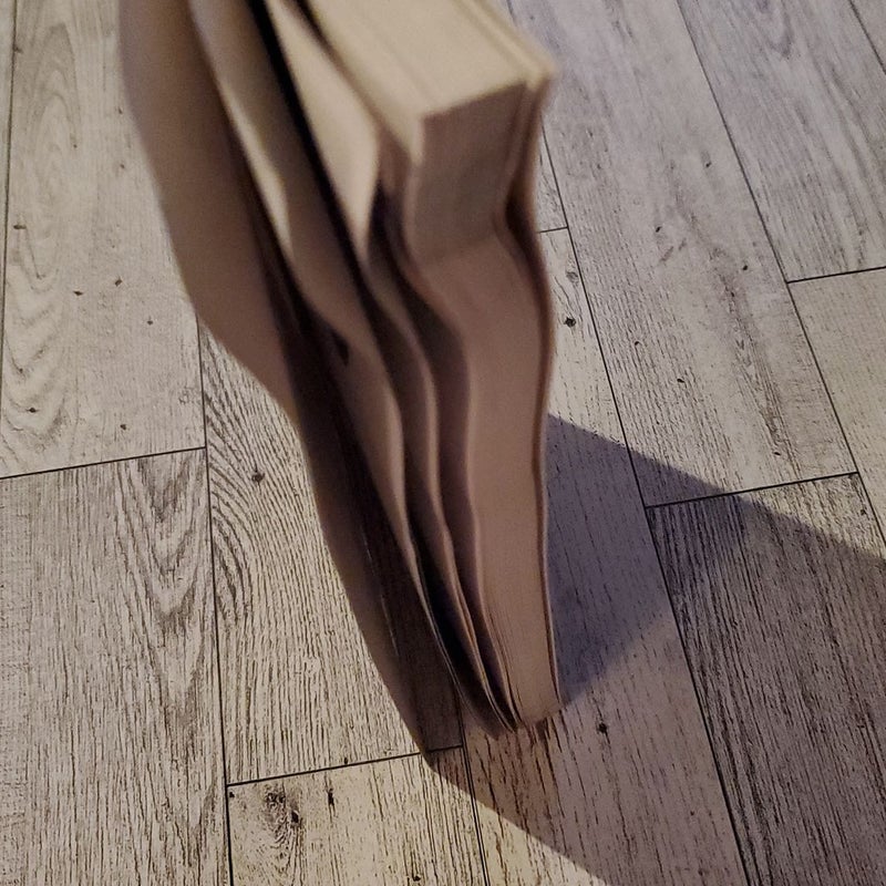 Somebody, Please Tell Me Who I Am by Harry Mazer, Peter Lerangis