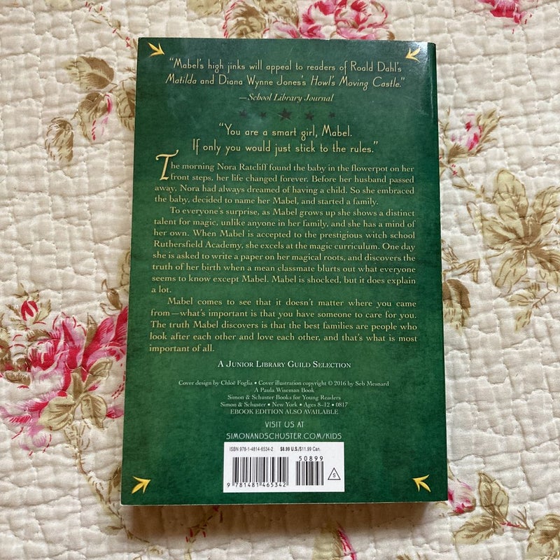 The Marvelous Magic of Miss Mabel by Natasha Lowe, Paperback | Pangobooks