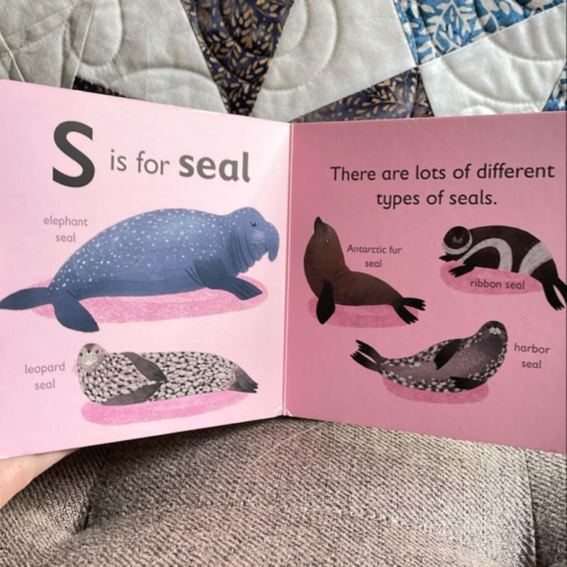 S is for Seal by DK, Hardcover | Pangobooks