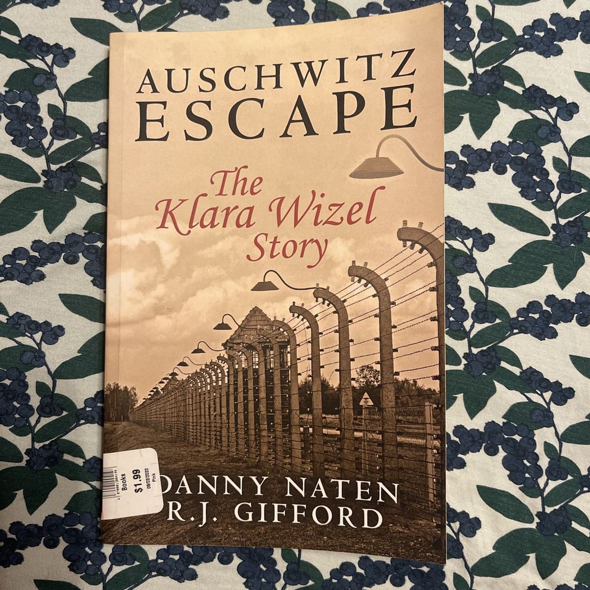 Auschwitz Escape - the Klara Wizel Story by Danny Naten, R. J. Gifford