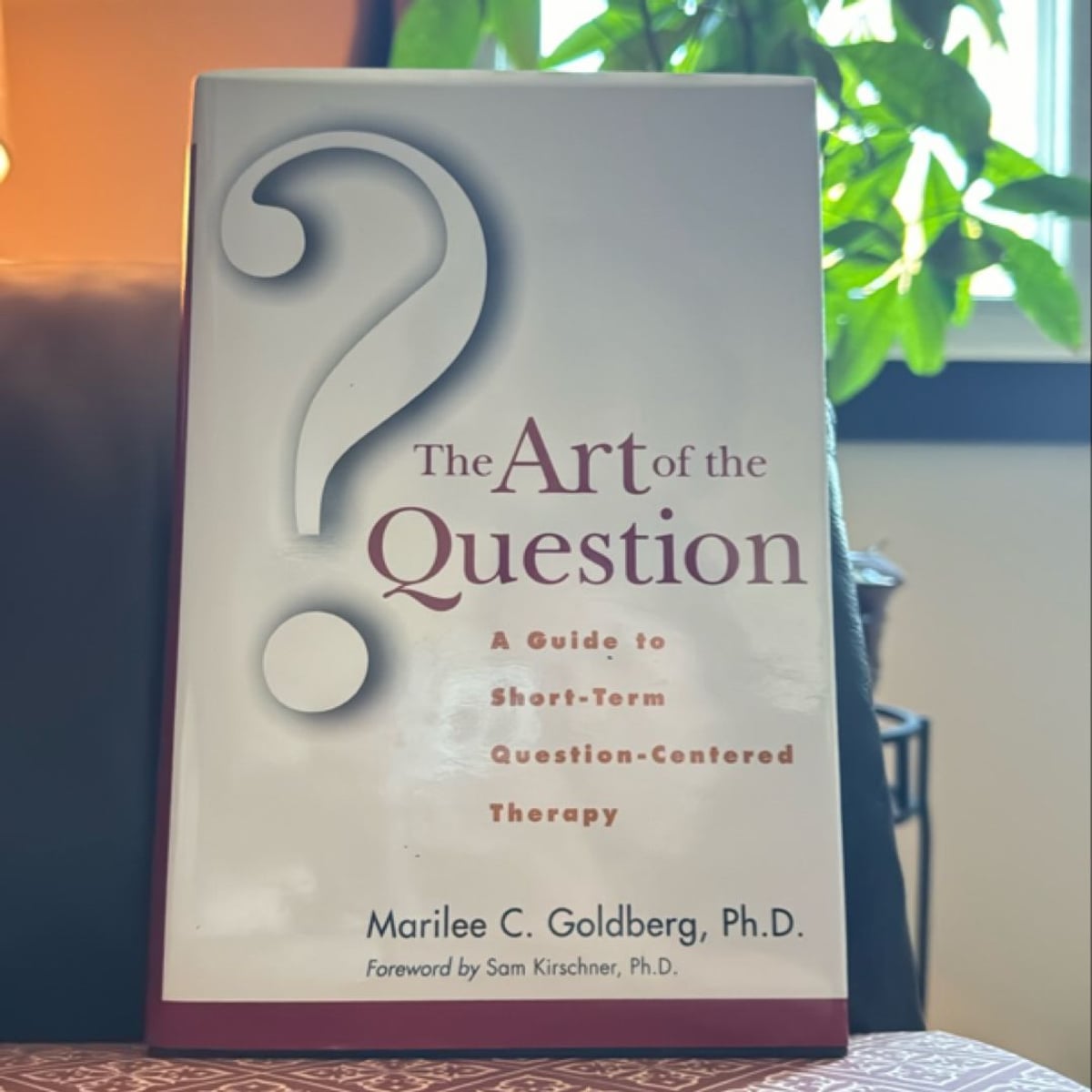 The Art of the Question by Marilee C. Goldberg