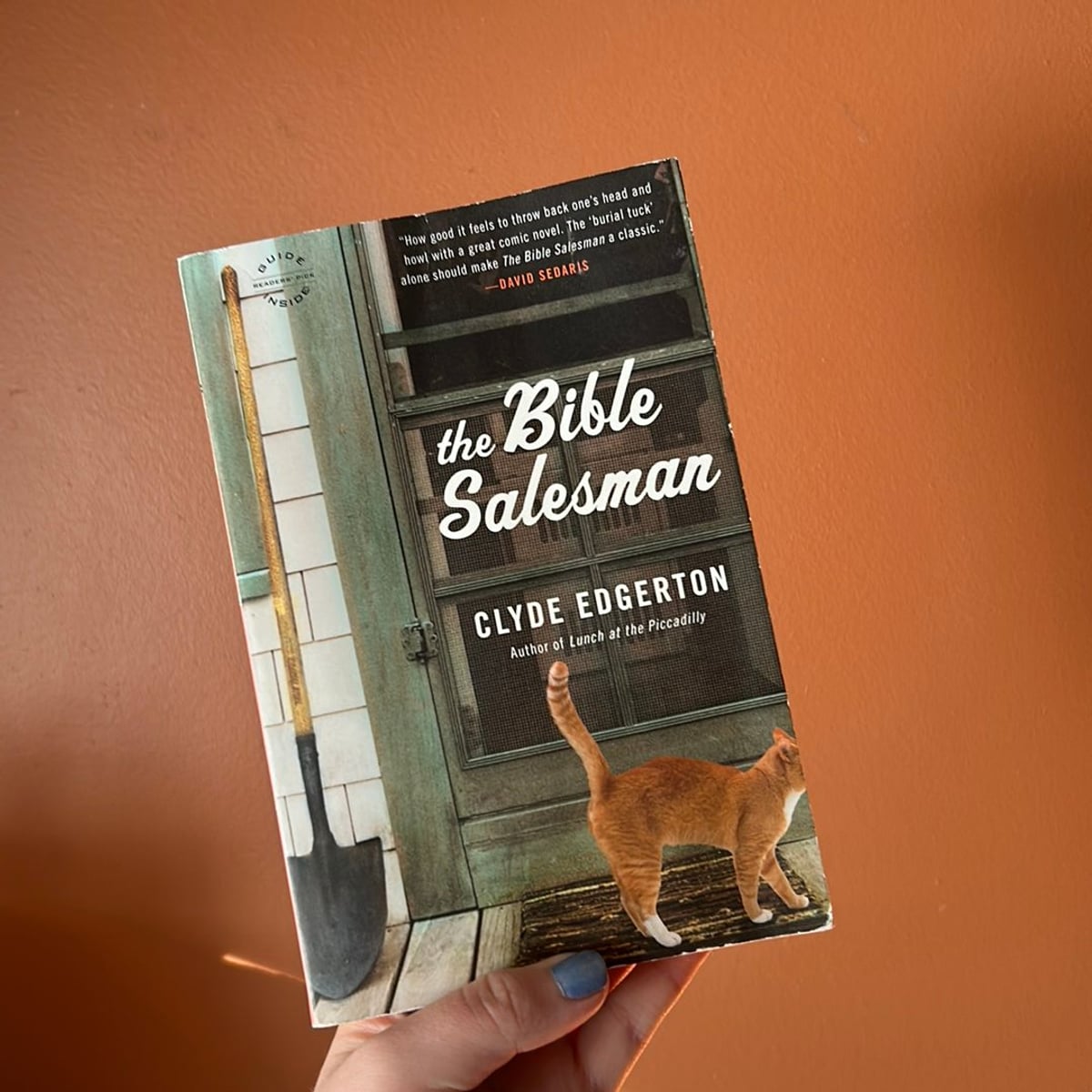 The Bible Salesman by Clyde Edgerton