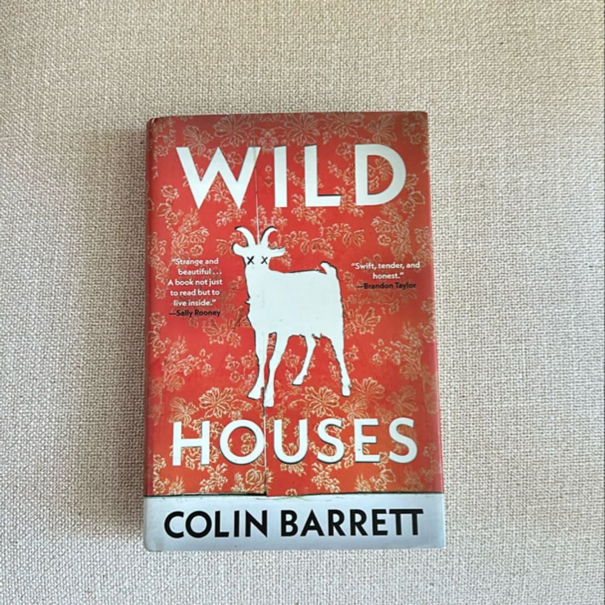 Wild Houses by Colin. Barrett